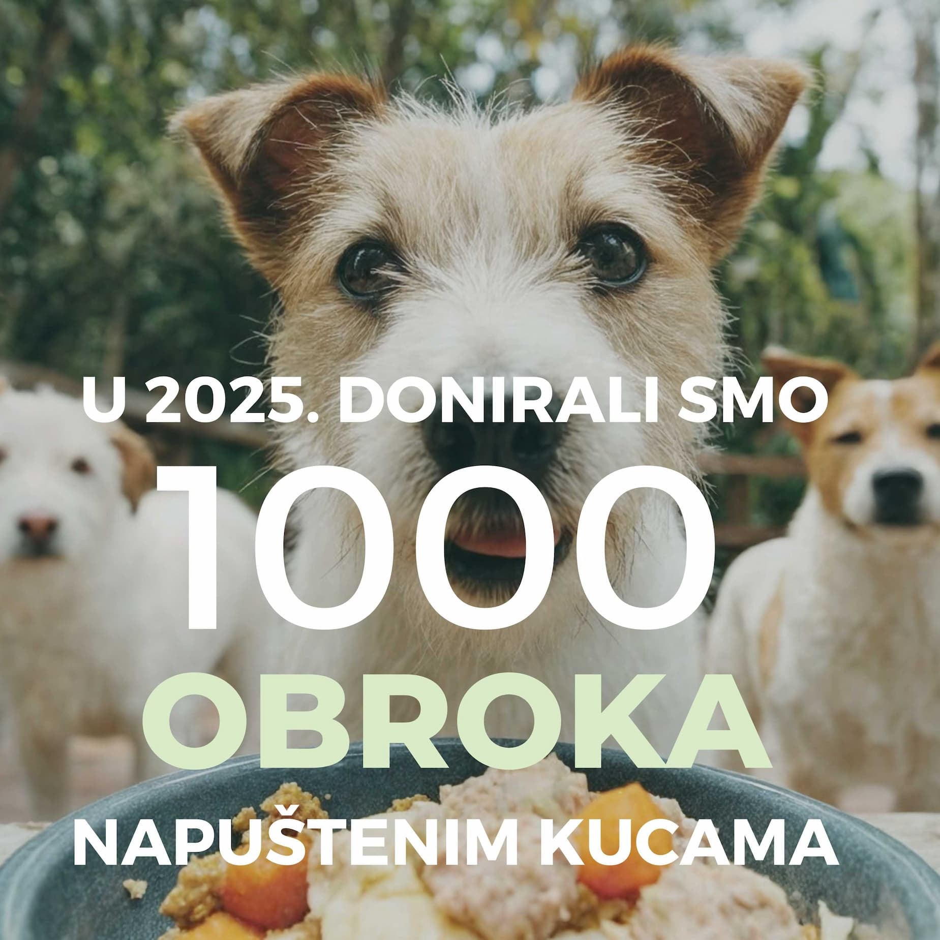 Zajedno smo nahranili 1.000 njuškica u 2025. godini! – Gramina Konoplja